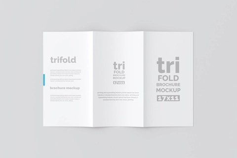 Free 17x11 Trifold Brochure Mockup | Mockupnest